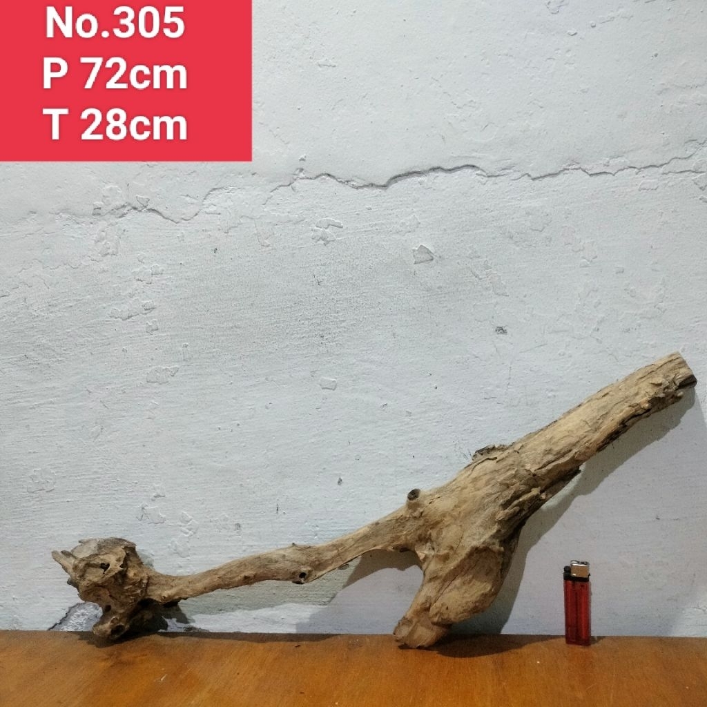 Jual akar santigi laut kayu santigi aquascape aquarium 305 | Shopee ...
