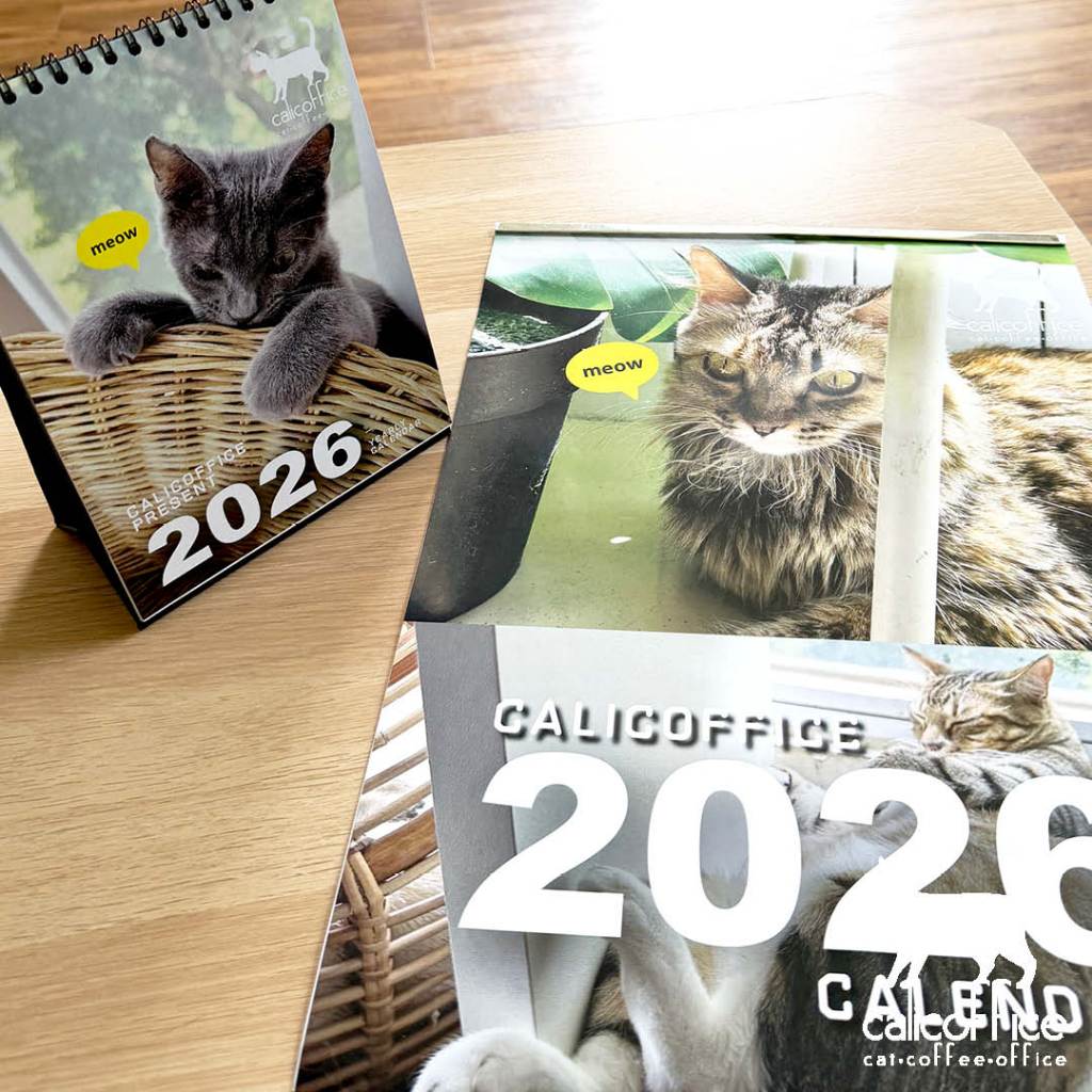 Jual 2026 Calendar Meja dan Calendar Dinding by Calicoffice. | Shopee ...