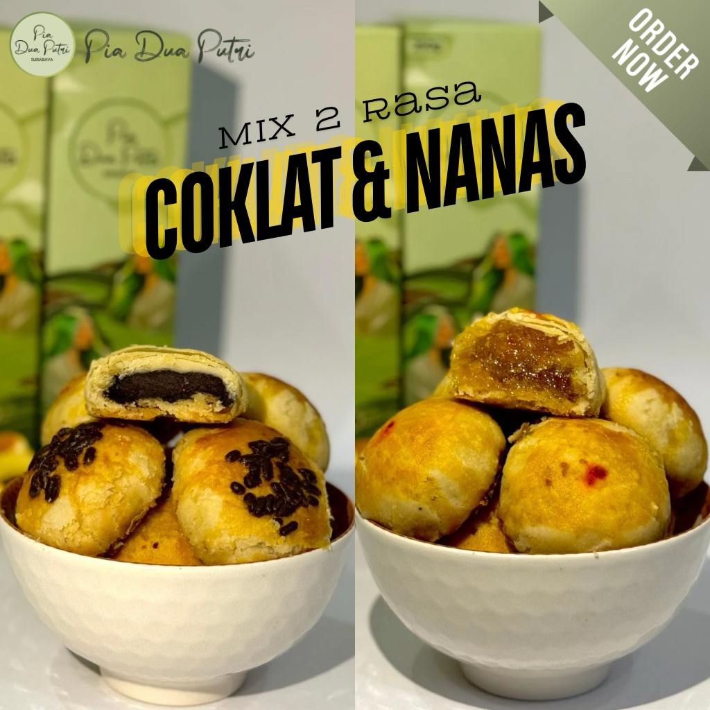 Jual Kue Pia Bakpia Premium Mix 2 Rasa Coklat & Nanas Pia Dua Putri ...