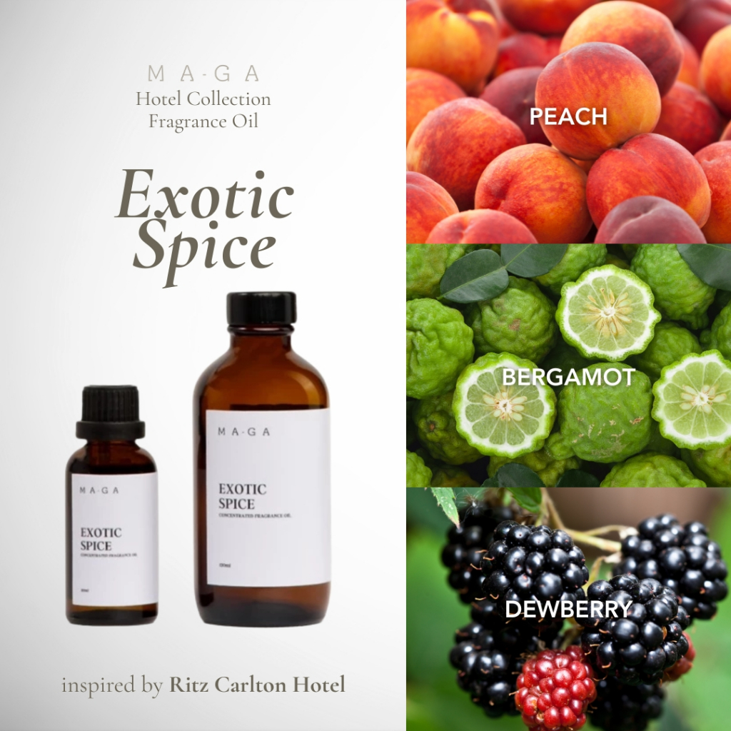 Jual MAGA Exotic Spice Fragrance Oil Inspired By Ritz Carlton Hotel ...