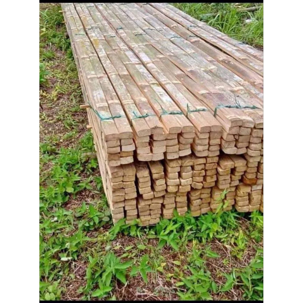 Jual bambu petung kotak tebal panjang 2 meter | Shopee Indonesia