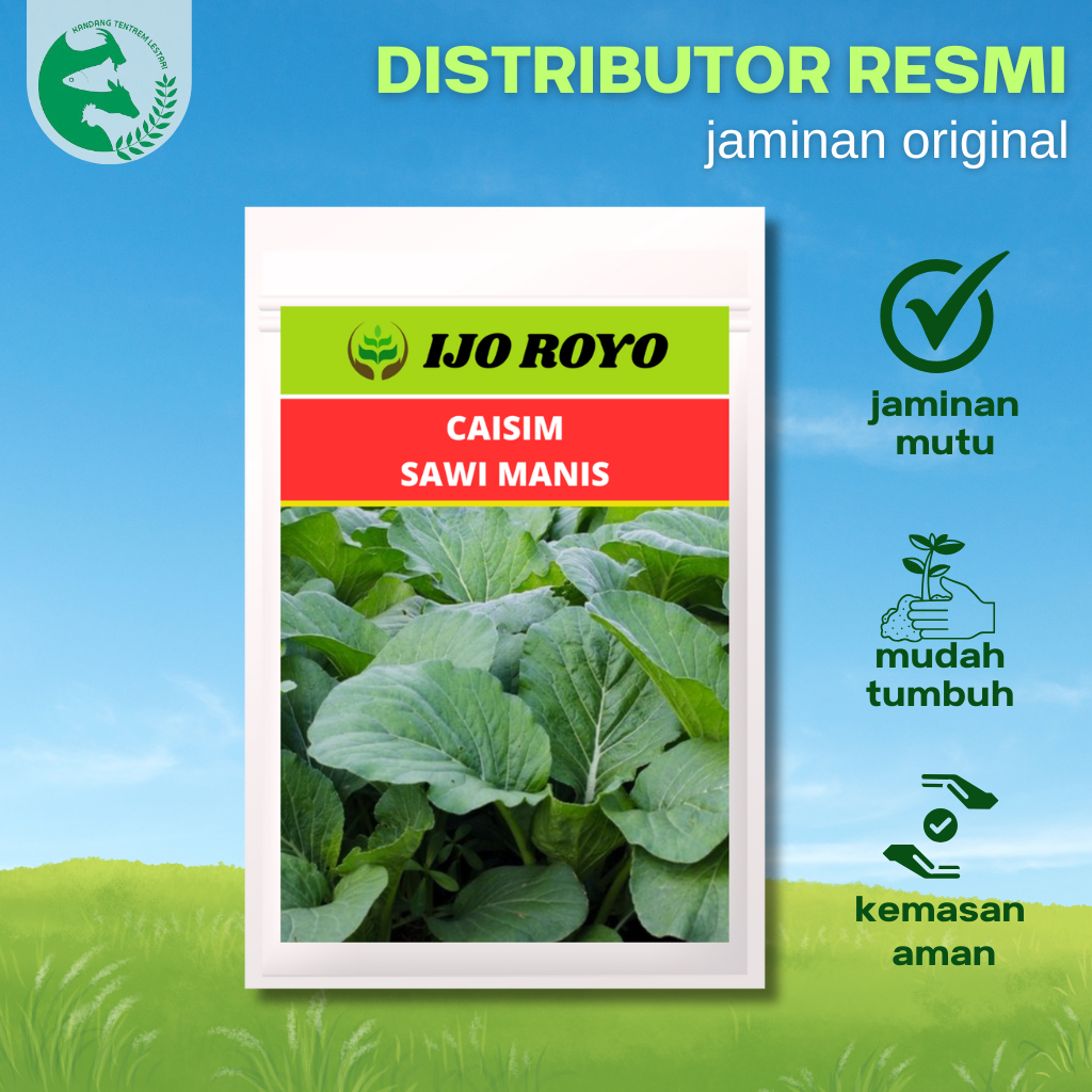 Jual Benih Caisim Sawi Manis Jumbo 25 gram IJO ROYO Unggul Lebat Panen ...