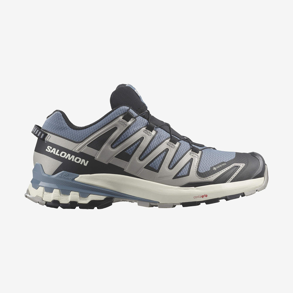 Jual SALOMON XA PRO 3D V9 GORE-TEX Unisex Trial Running Shoes Outdoor ...