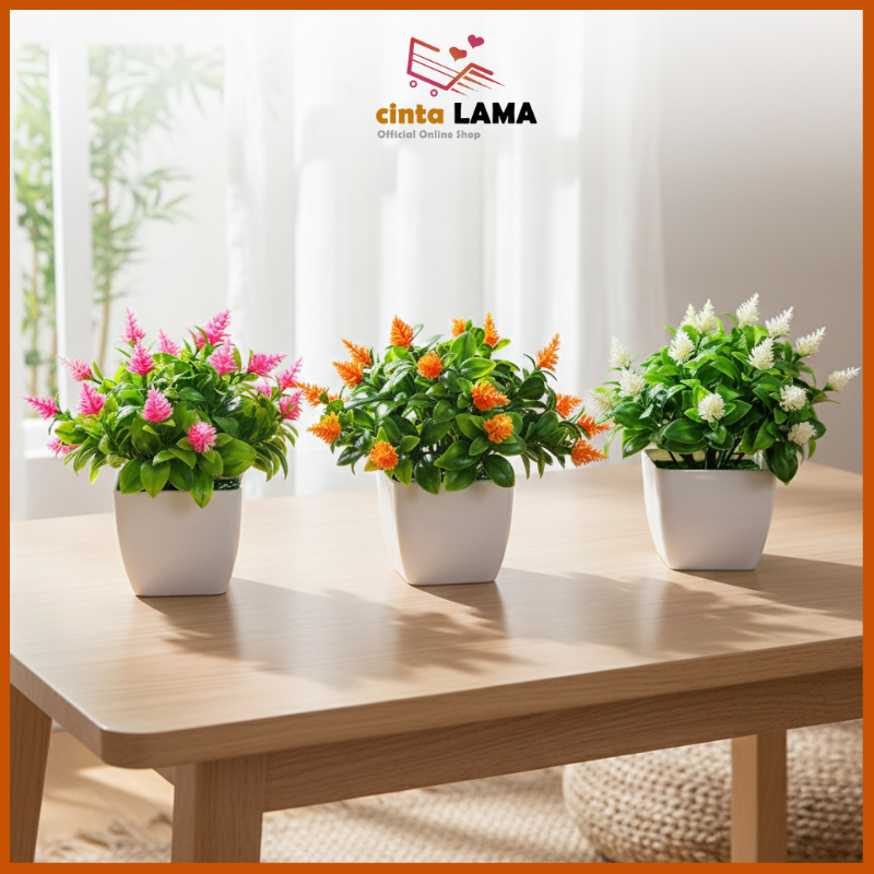 Jual Tanaman Bunga Hias Pot Kecil Plastik Ornamen Dekorasi Rumah Ruang ...