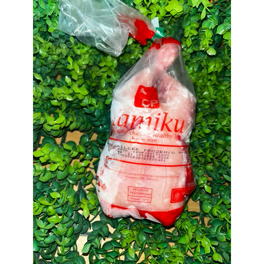 Jual Ayam Yamiku Uk 06-07 Gram | Shopee Indonesia