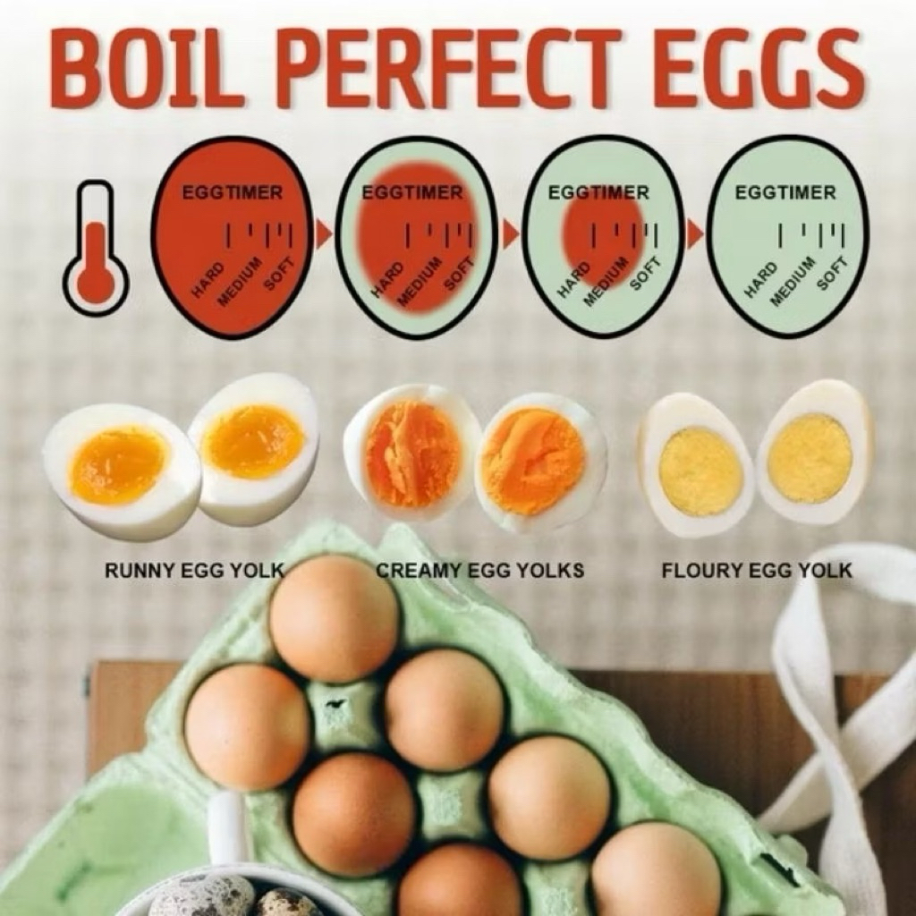 Jual Pengukur Suhu Telur Rebus Perfect Egg Timer Telur Boiled EggTimer ...