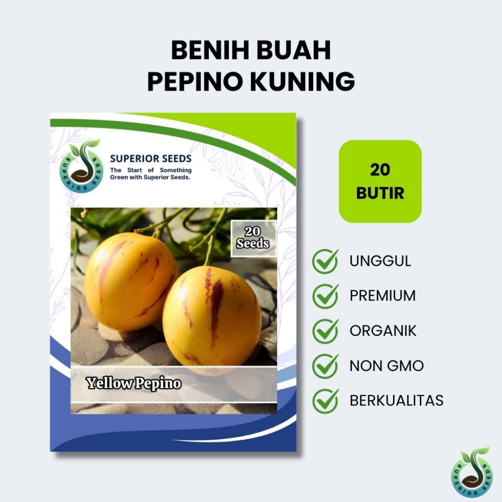 Jual Biji Benih Buah Pepino Kuning | Melon Pepino Segar & Manis ...