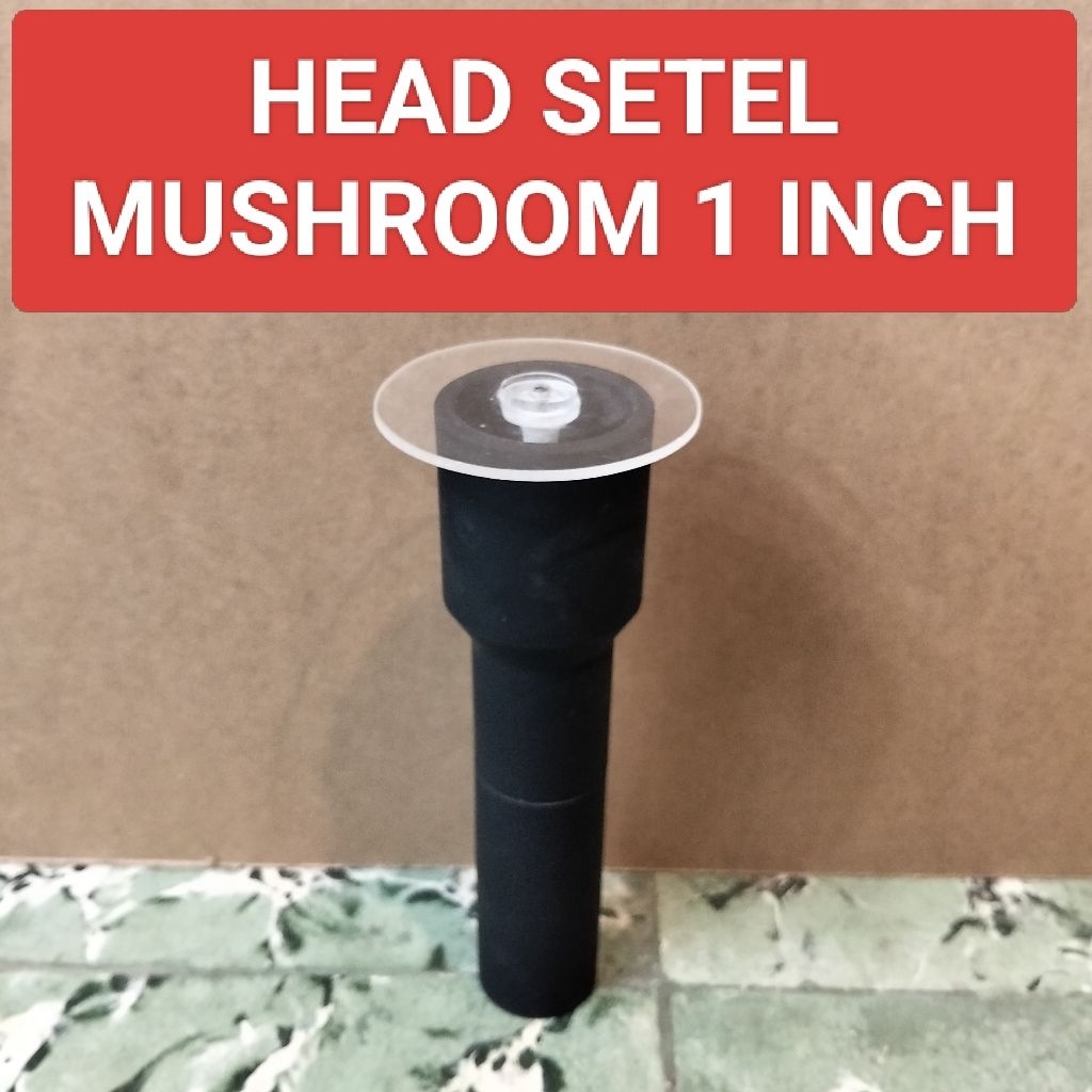 Jual MUSHROOM / HEAD SETEL MUSHROOM 1 INCH (besar kecil mushroom bisa ...