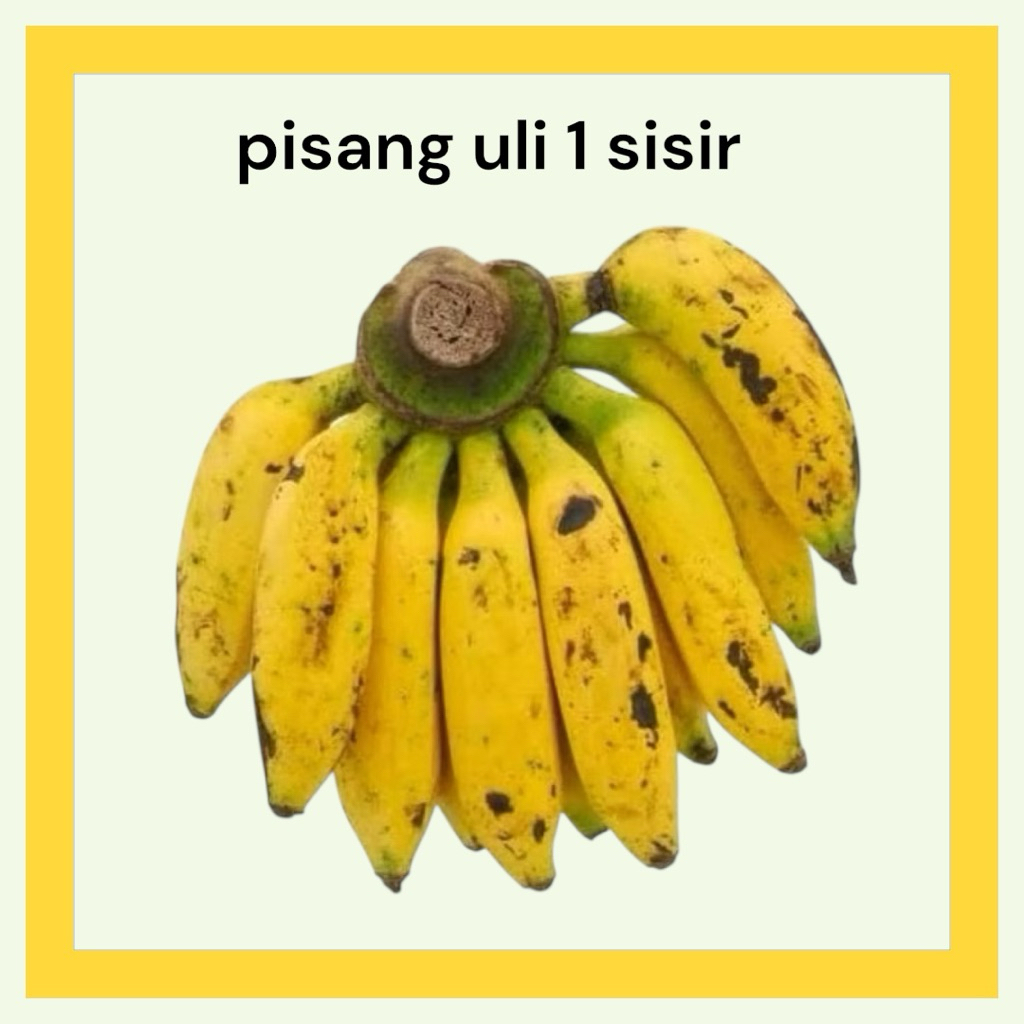 Jual Pisang Uli Terlengkap & Harga Terbaru Juni 2026 | Shopee Indonesia
