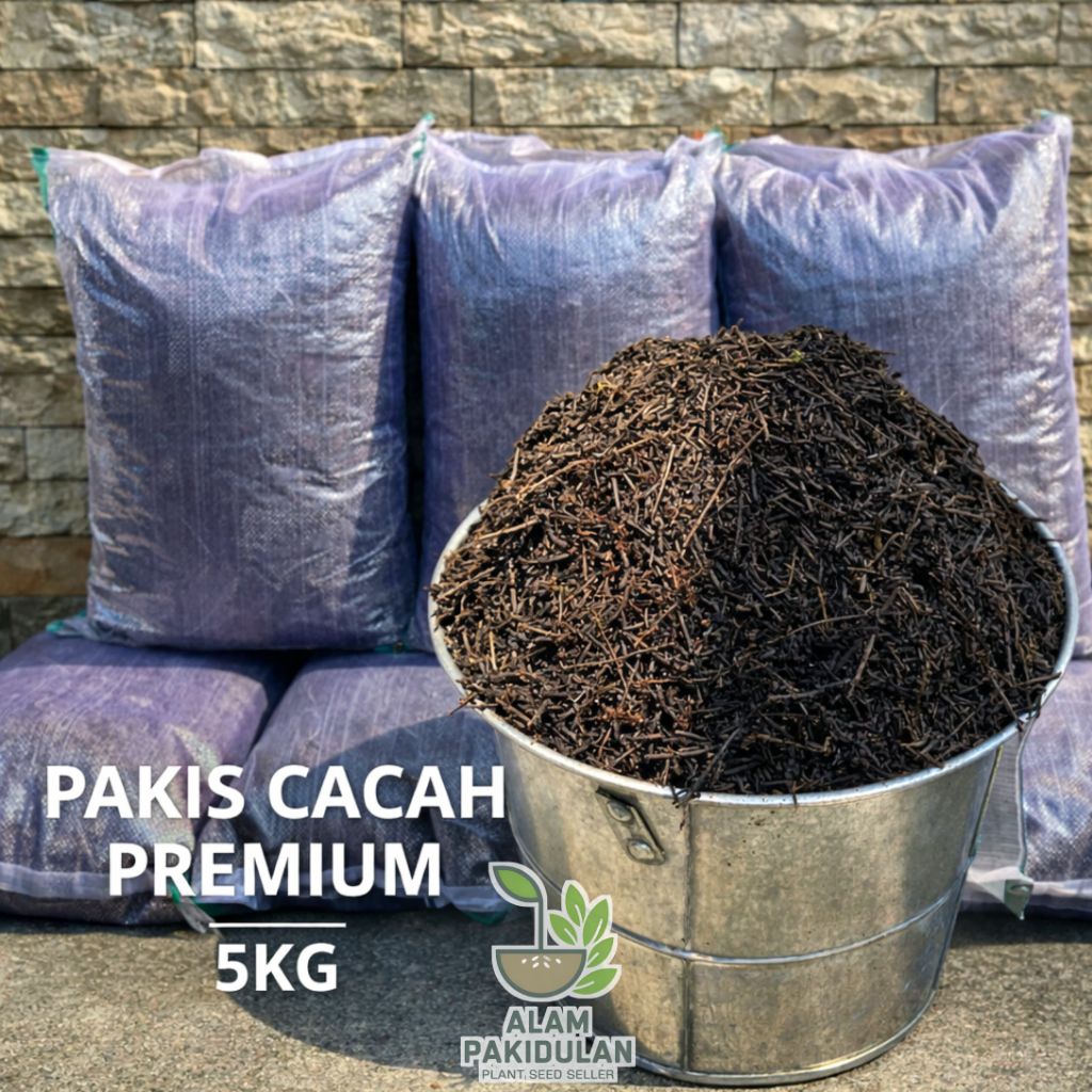 Jual Pakis Cacah Akar Pakis Halus 1 Karung 5 KG | Shopee Indonesia