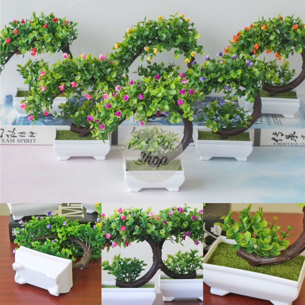 Jual Tanaman Imlek Bonsai Pot Sakura Zen Moss Artificial Hampers Imlek ...