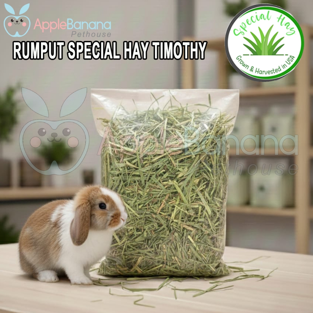 Jual Makanan Kelinci Marmut Rumput Timothy Hay 100 gram Special Hay ...