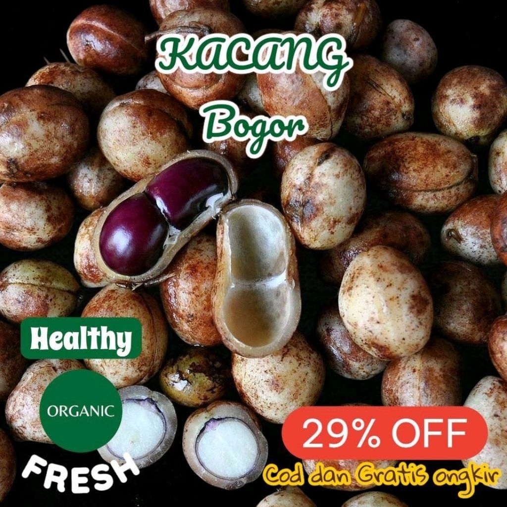 Jual kacang Tanah Mentah Bogor Cemilan Premium dan Fresh. | Shopee ...