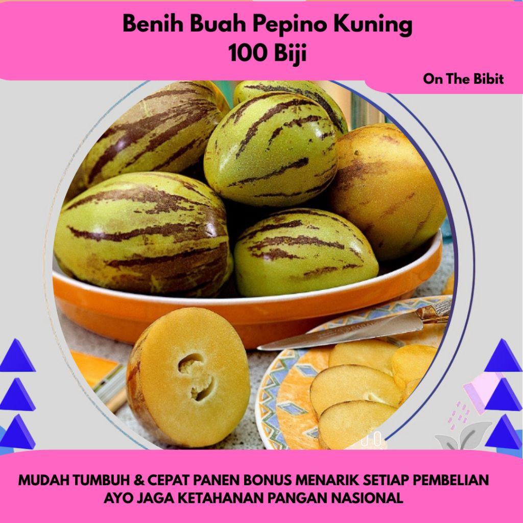 Jual biji benih buah pepino kuning isi 100 butir siap tanam reepack ...