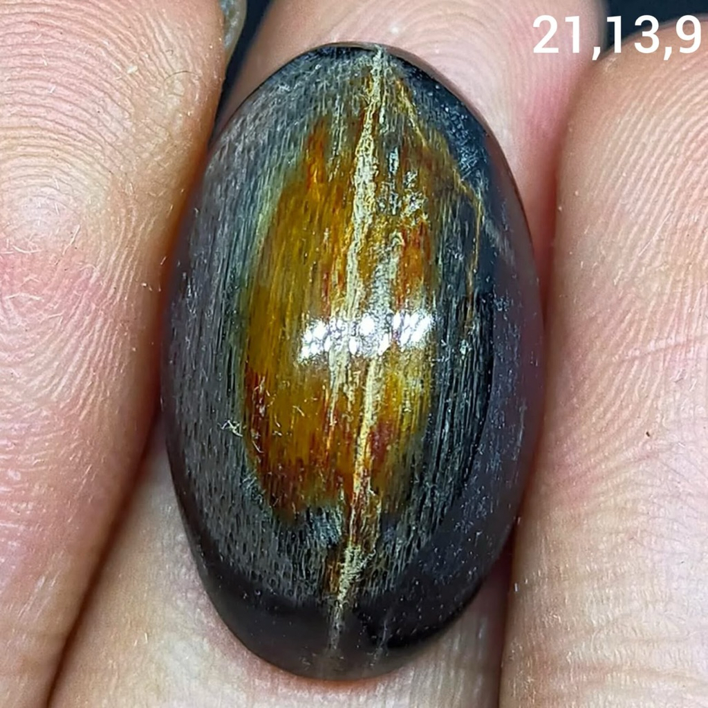 Jual batu akik aski kendit vosil kelor antik top hq natural (asli alam ...