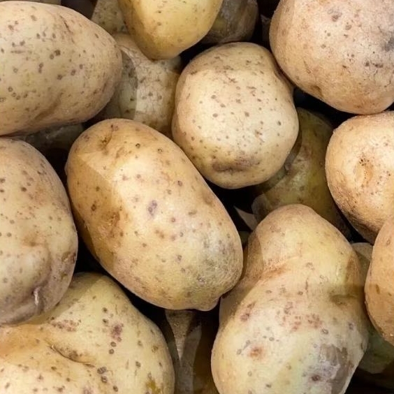 Jual Kentang Sayur Segar - Pasar Makassar | Shopee Indonesia