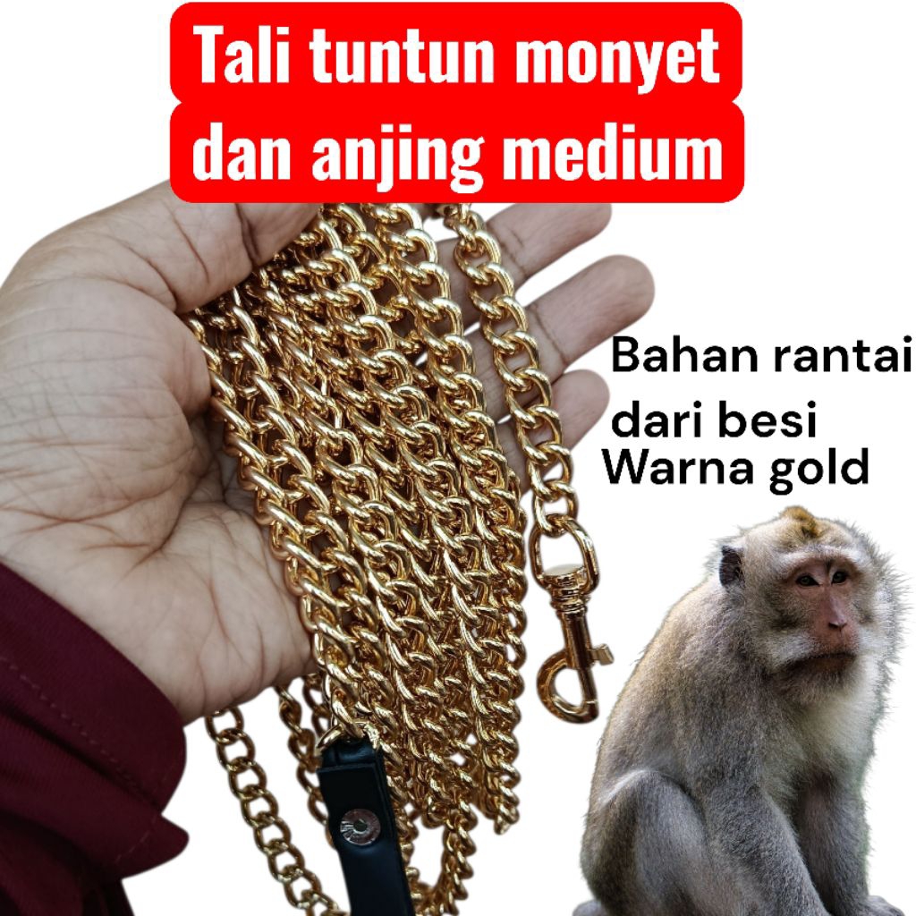 Jual tali tuntun tali kekang MONYET anjing size medium rantai besi ...