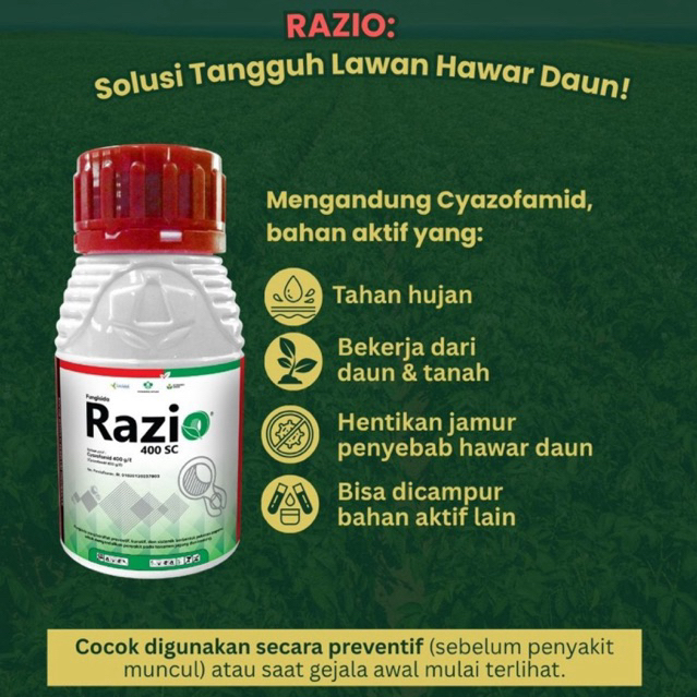 Jual Fungisida Razio 400 SC Cyazofamid 400 g/L Obat Jamur Sistemik ...