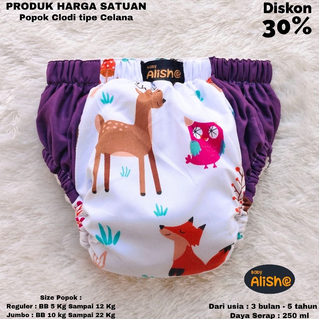 Jual Popok Cuci Ulang Clodi tipe Celana AIO, Popok bayi, Popok Anak ...