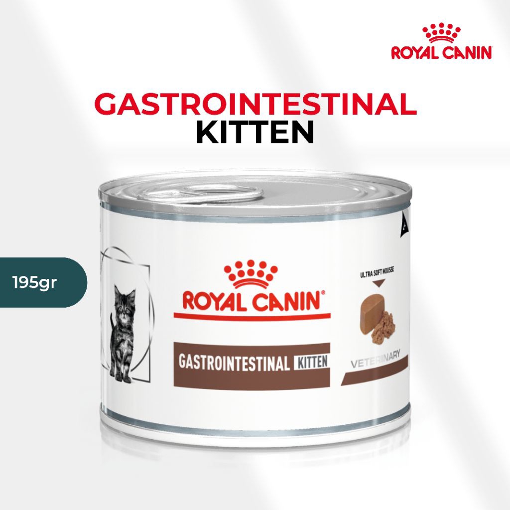 Jual Royal Canin Gastro Kitten 195 gr | Shopee Indonesia