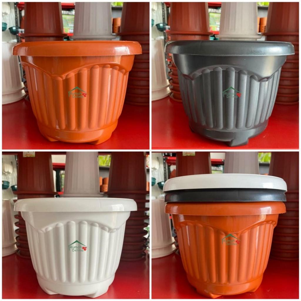 Jual Pot Bunga Tanaman Shallom Mio 25 | Shopee Indonesia