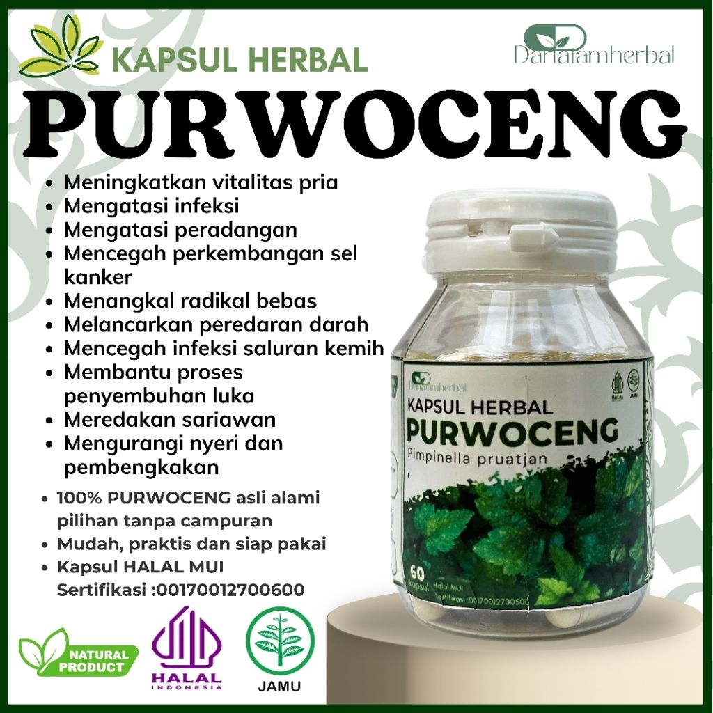 Jual Herbal Kapsul PURWOCENG Asli 100% Alami | Kemasan Botol isi 60 ...