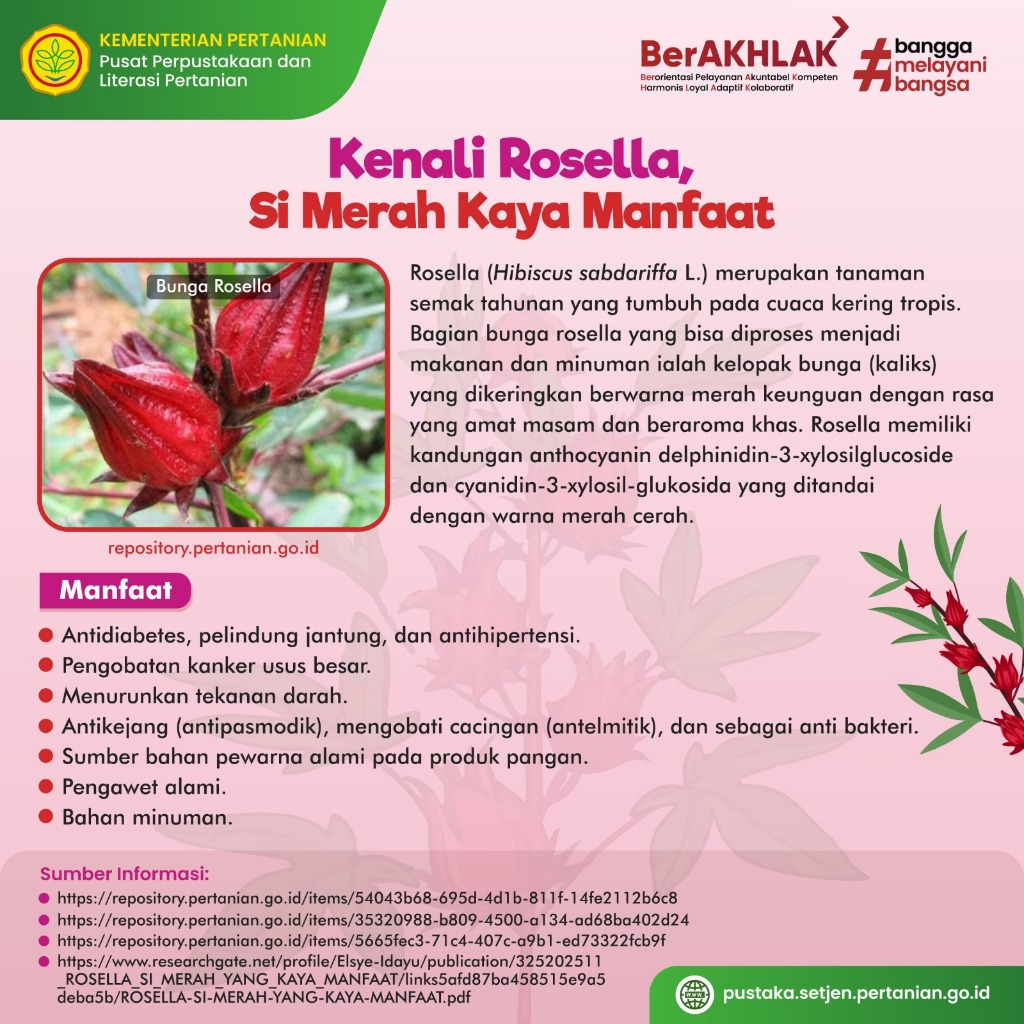 Jual teh Bunga Rosella merah Super 100gram Herbal Organik | Shopee ...