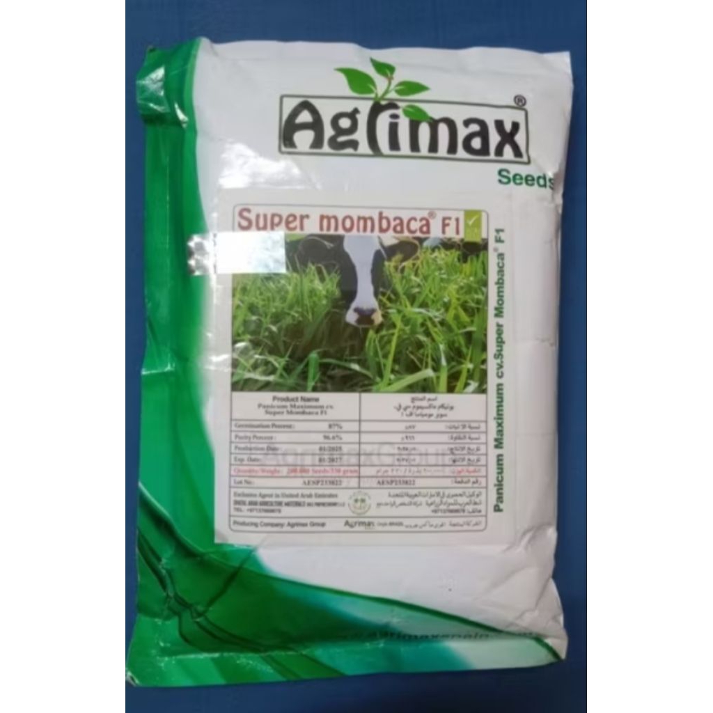 Jual repack 2 gram (±1200 butir) biji benih bibit rumput super mombaca ...