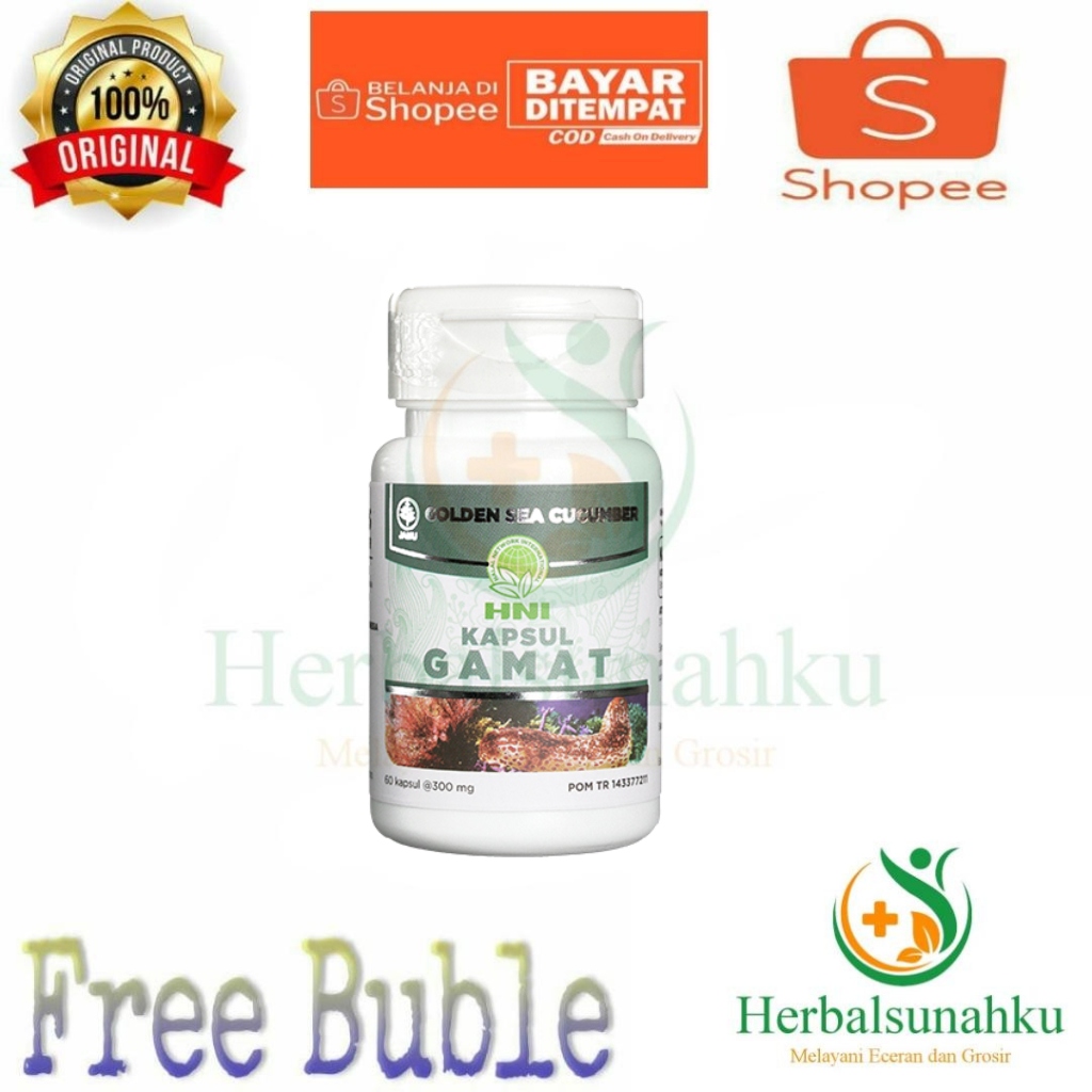 Jual Kapsul Gamat Hni | Golden Sea Cucumber | Gamat Membantu Meredakan ...