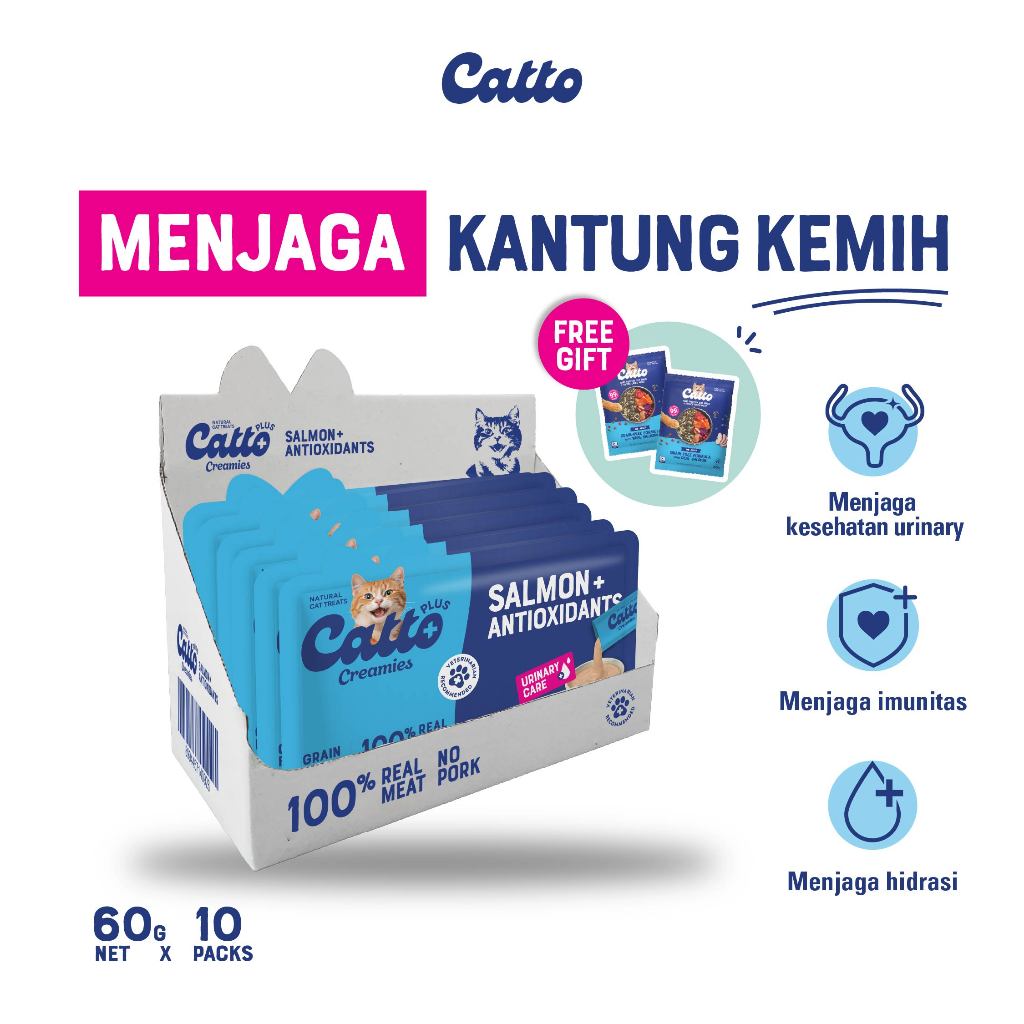 Jual Catto Snack Treats Makanan Kucing Dewasa Plus - Box Creamies ...