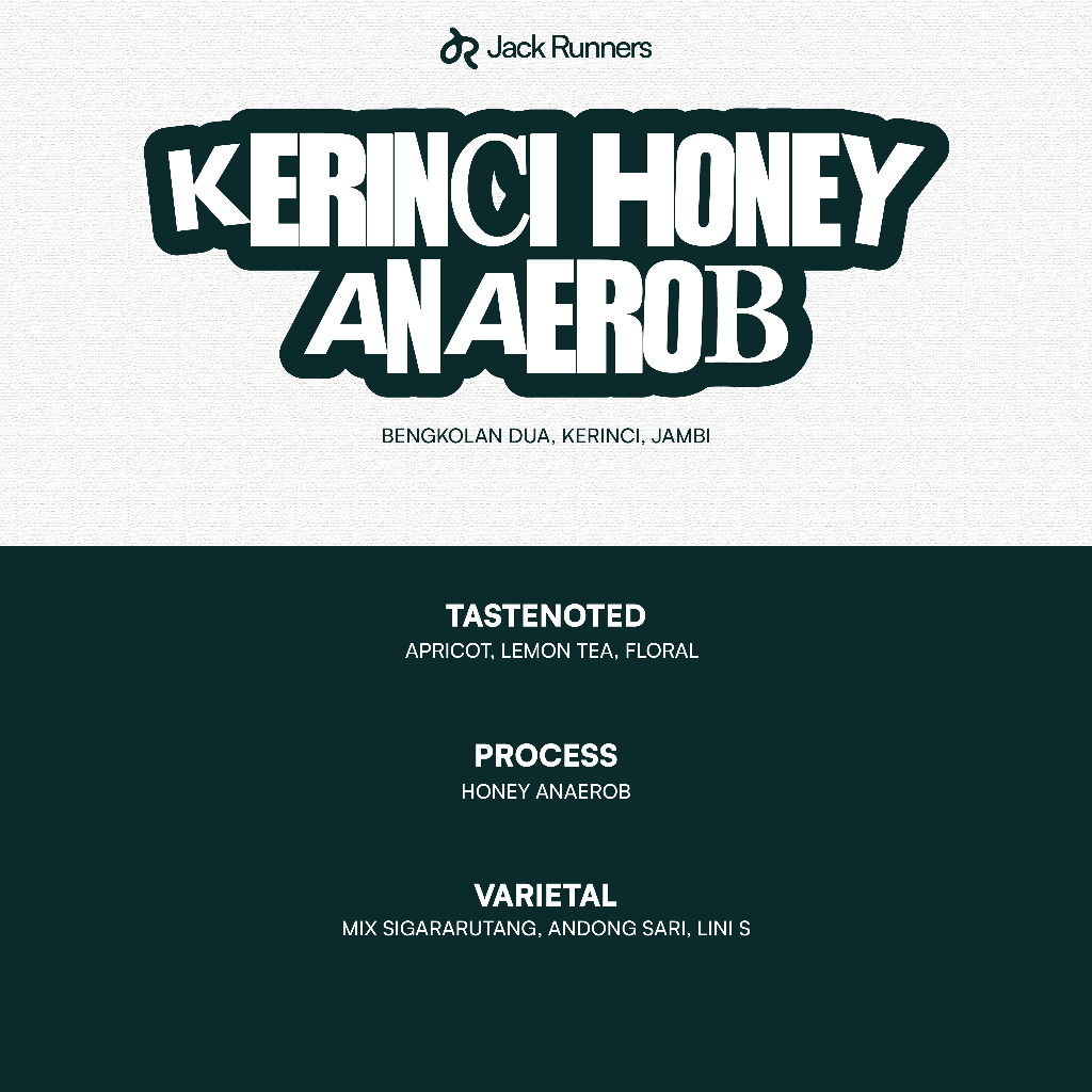 Jual JACK RUNNERS ROASTERY - KERINCI HONEY ANAEROB GREEN BEANS COFFEE ...