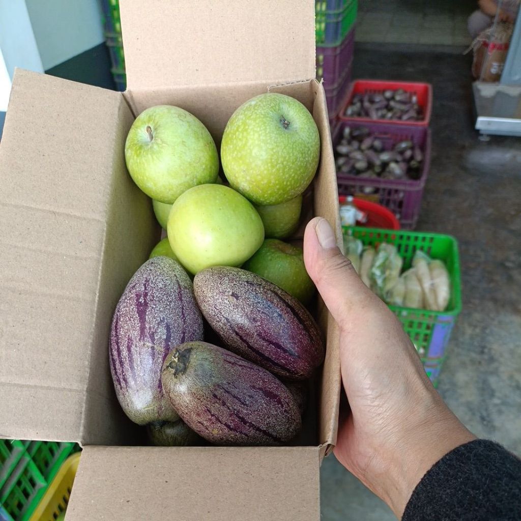 Jual Buah pepino mix apel roombeauty 1kg | Shopee Indonesia