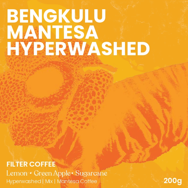 Jual Arabika Bengkulu Mantesa Hyperwashed 200 gr | Shopee Indonesia
