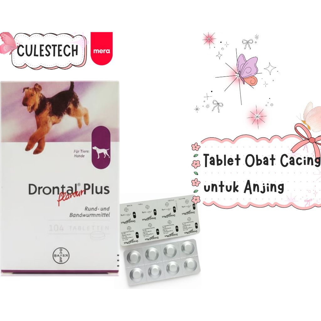 Jual Drontal Plus 1 Tablet Obat Cacing untuk Anjing Dewasa Puppy Doggy ...