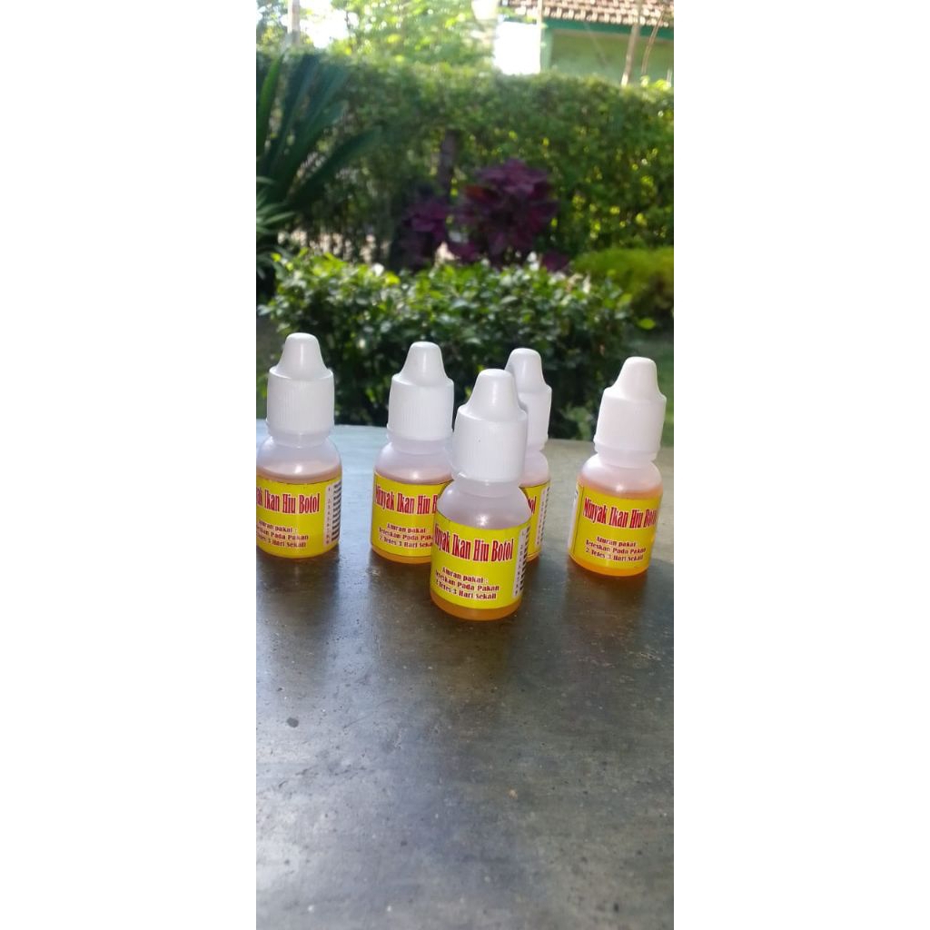 Jual minyak hati ikan hiu botol | Shopee Indonesia
