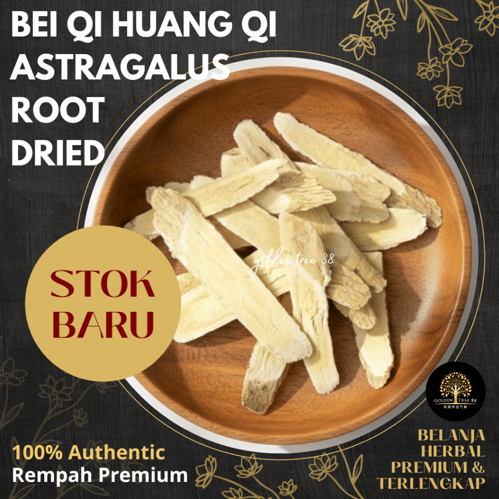 Jual Premium Astragalus Root / Huang Qi / Eng Ki Herbal China Fresh ...
