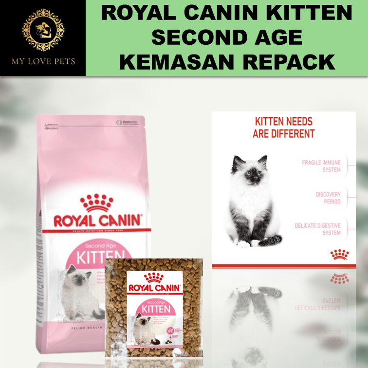 Jual Royal Canin Kitten Second Age Kemasan 500gr / Makanan Kucing Royal ...