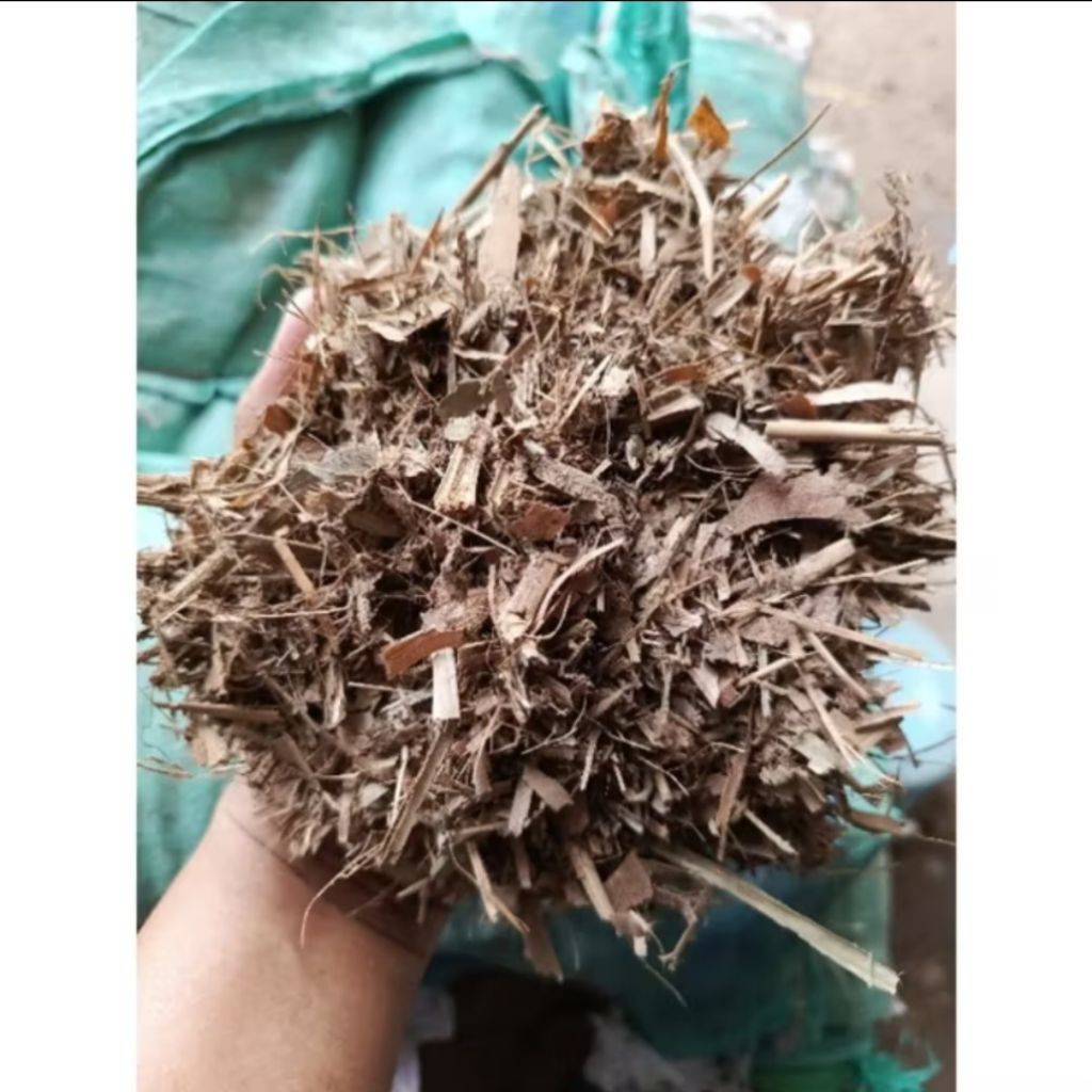 Jual Humus daun bambu 1 kg | Shopee Indonesia