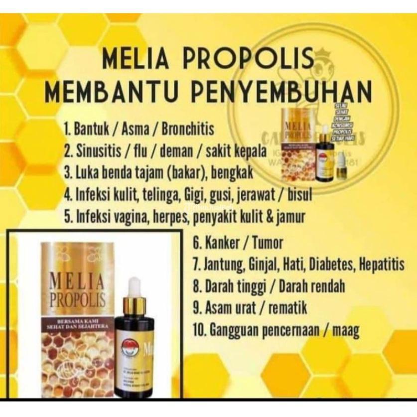 Jual Propolis Diamond Lite 20 (ecer) / propolis melia 30ml melia 55ml ...