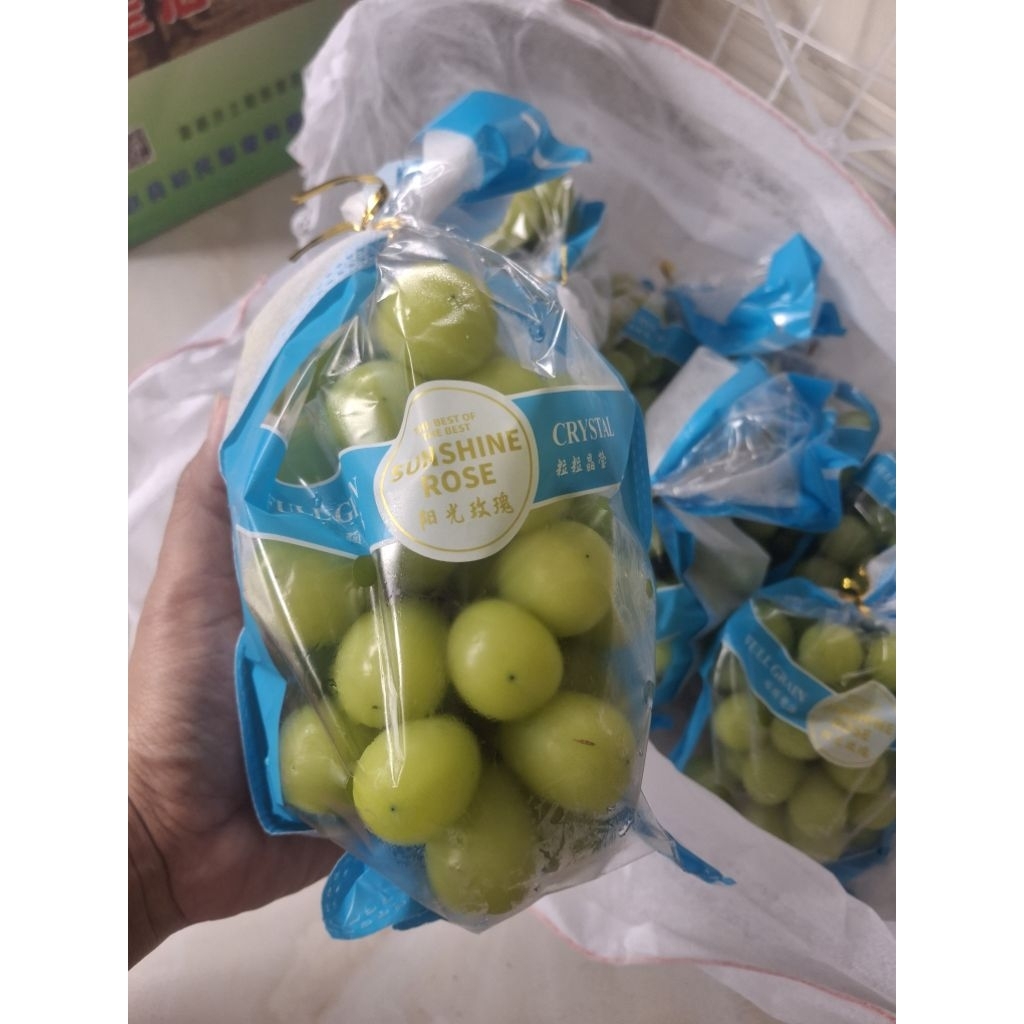 Jual Anggur Shine Muscat Pocong | Shopee Indonesia