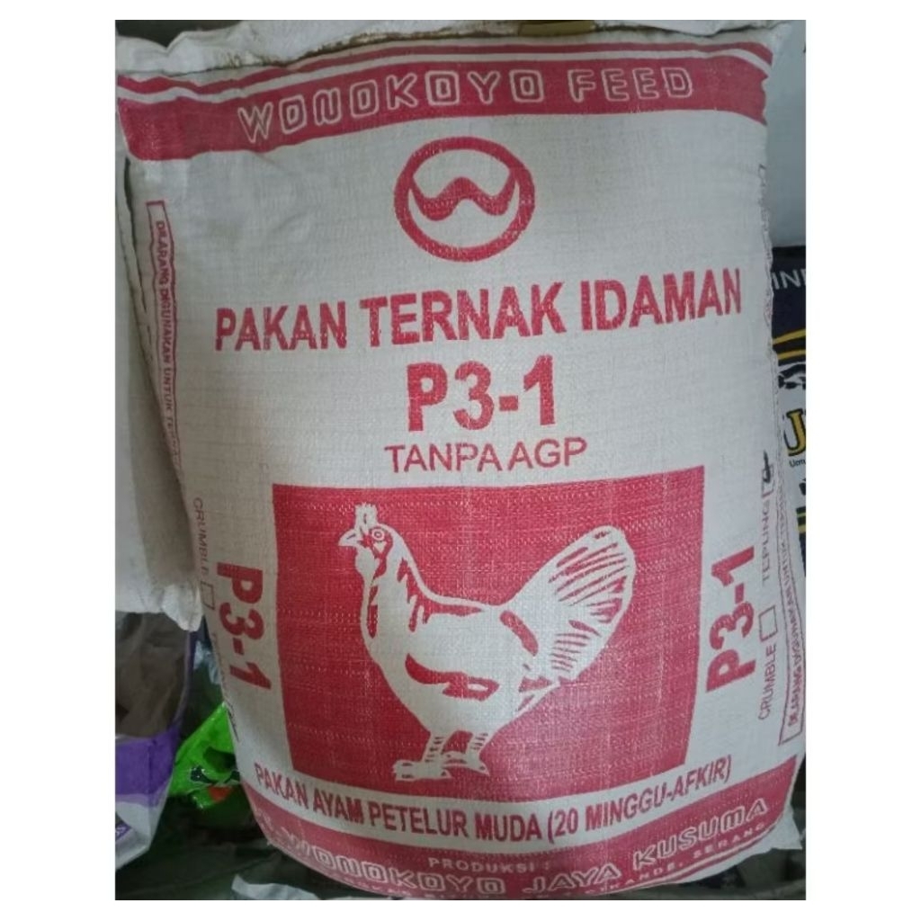 Jual Pakan Ayam Ras Petelur Layer 20 Minggu - Akhir 50 kg | Shopee ...