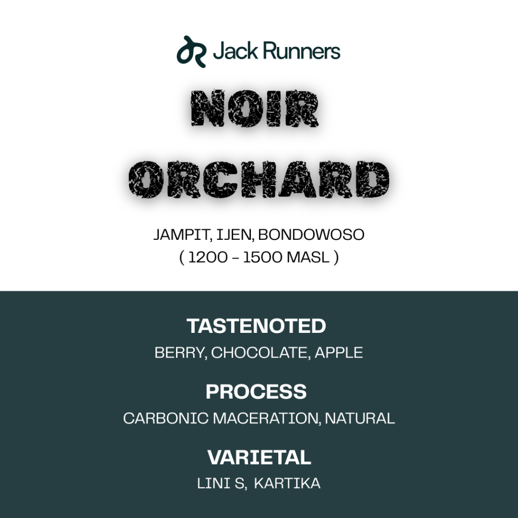 Jual JACK RUNNERS ROASTERY - NOIR ORCHARD - ROASTED BEANS | Shopee ...