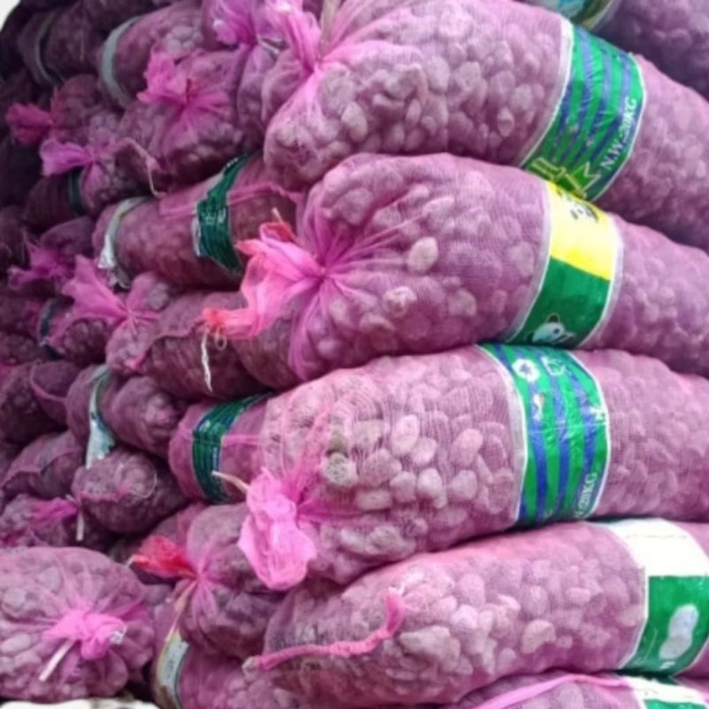 Jual 20KG BATU APUNG GOMBONG MEDIA FILTER KUALITAS TERBAIK COCOK UNTUK ...