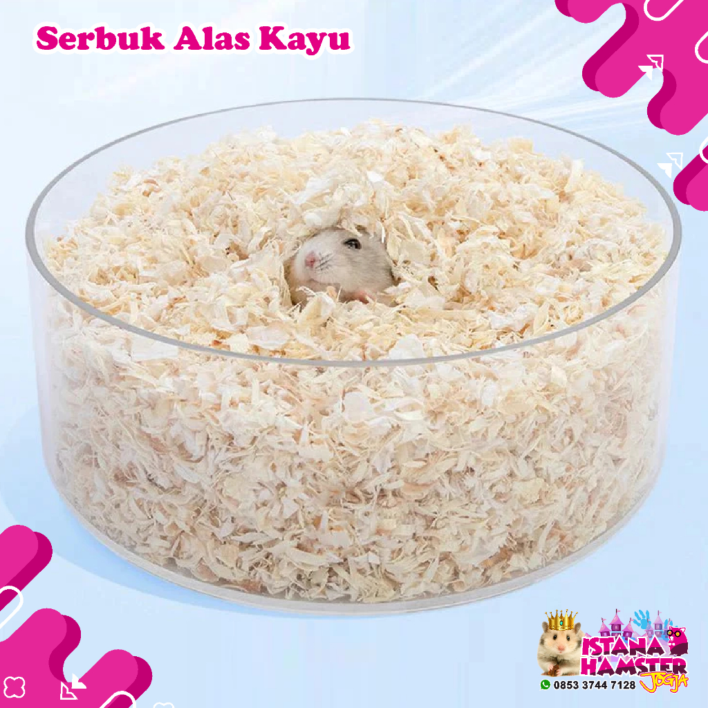Jual Alas Hamster Kayu Jati Belanda Premium Natural, Nyaman, Bersih dan ...
