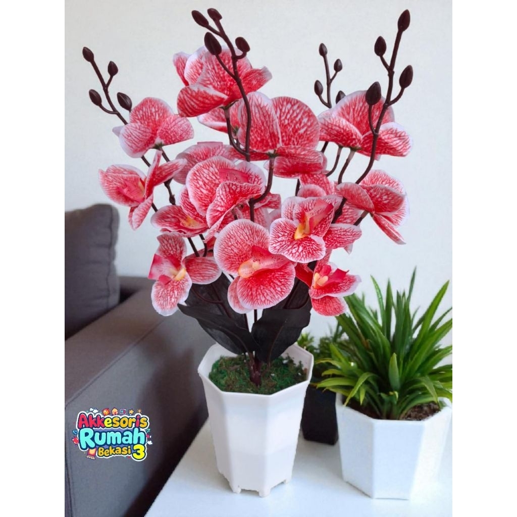 Jual Bunga anggrek serat artificial 5 cabang dengan pot tirus | Shopee ...