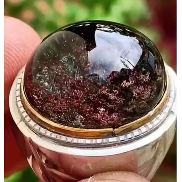 Jual Kinyang Karang Merah 4 Warna HQ (REAL PICT) | Shopee Indonesia