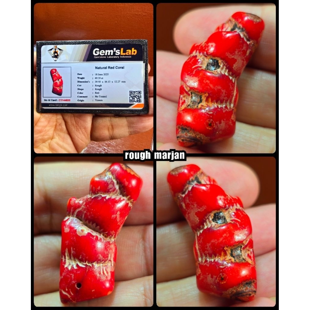 Jual natural batu marjan merah auper kuno asli alami ROUGH YA | Shopee ...