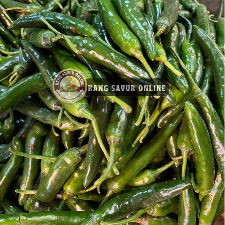 Jual Cabe hijau besar segar/cabe ijo besar/berkualitas pilihan/murah ...