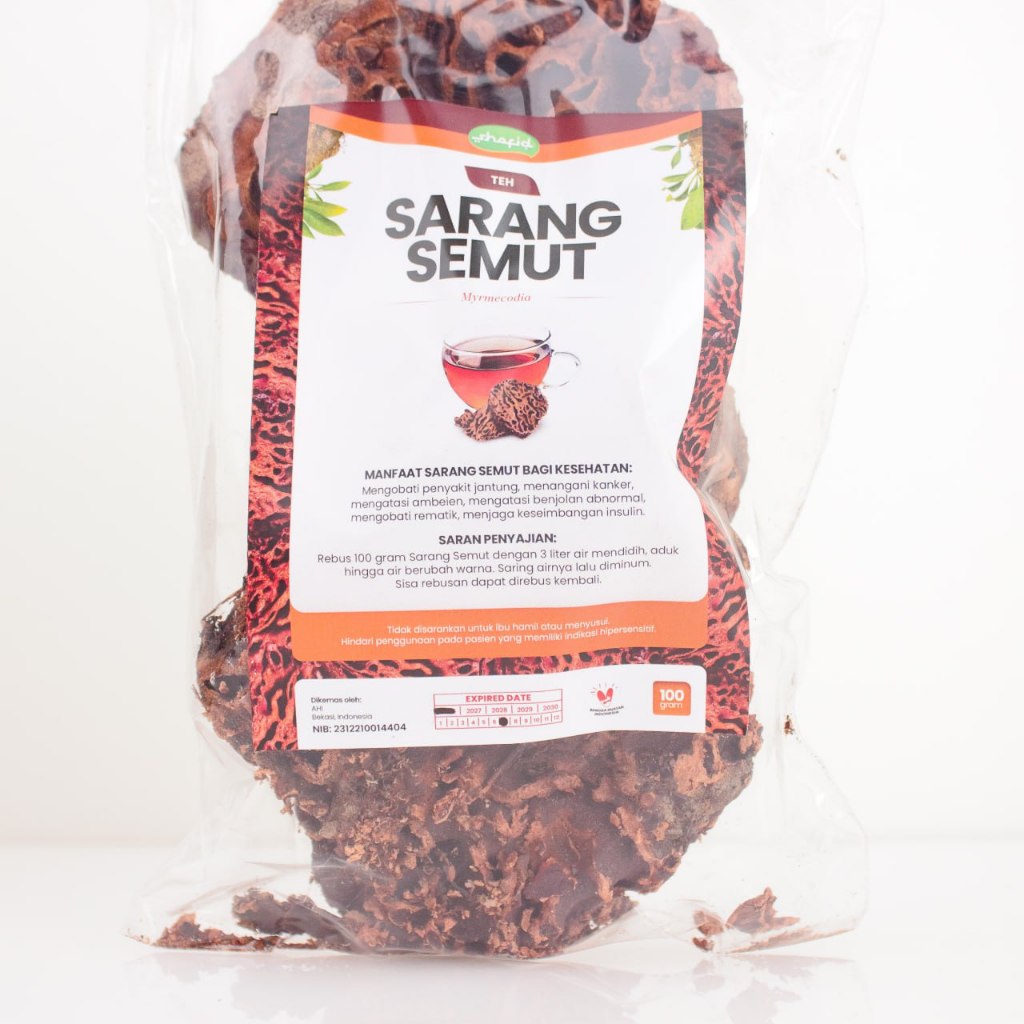 Jual Teh Herbal Sarang Semut Papua Premium – Myrmecodia Alami Kering ...