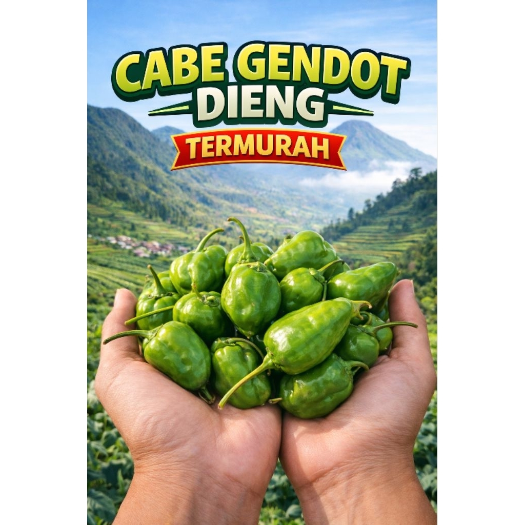 Jual cabe gendot dieng murah | fresh dari petani 1kg | Shopee Indonesia